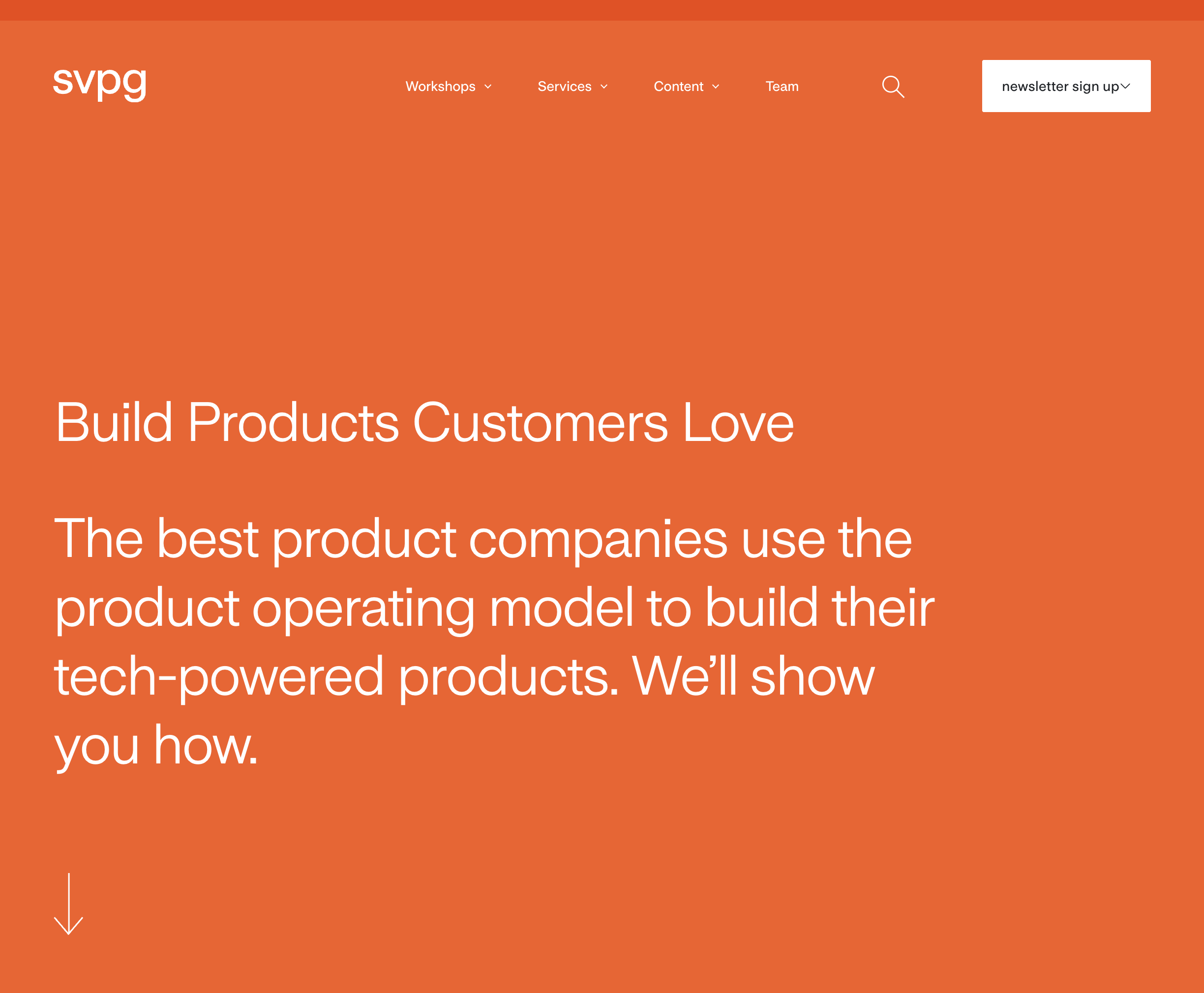 SVPG – who are they and what do they do?